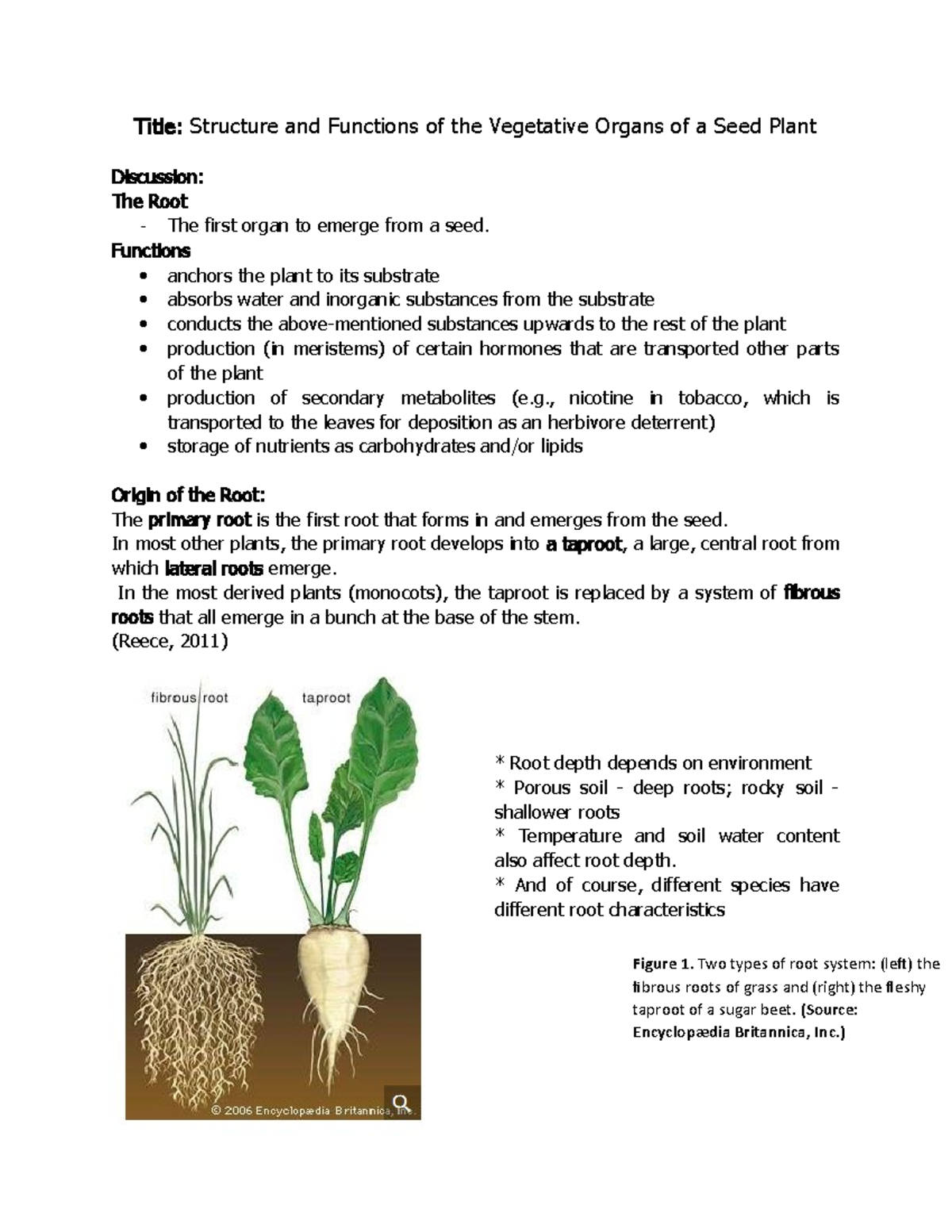 Botany reviewer - Biology Finals - Title: Structure and Functions of ...