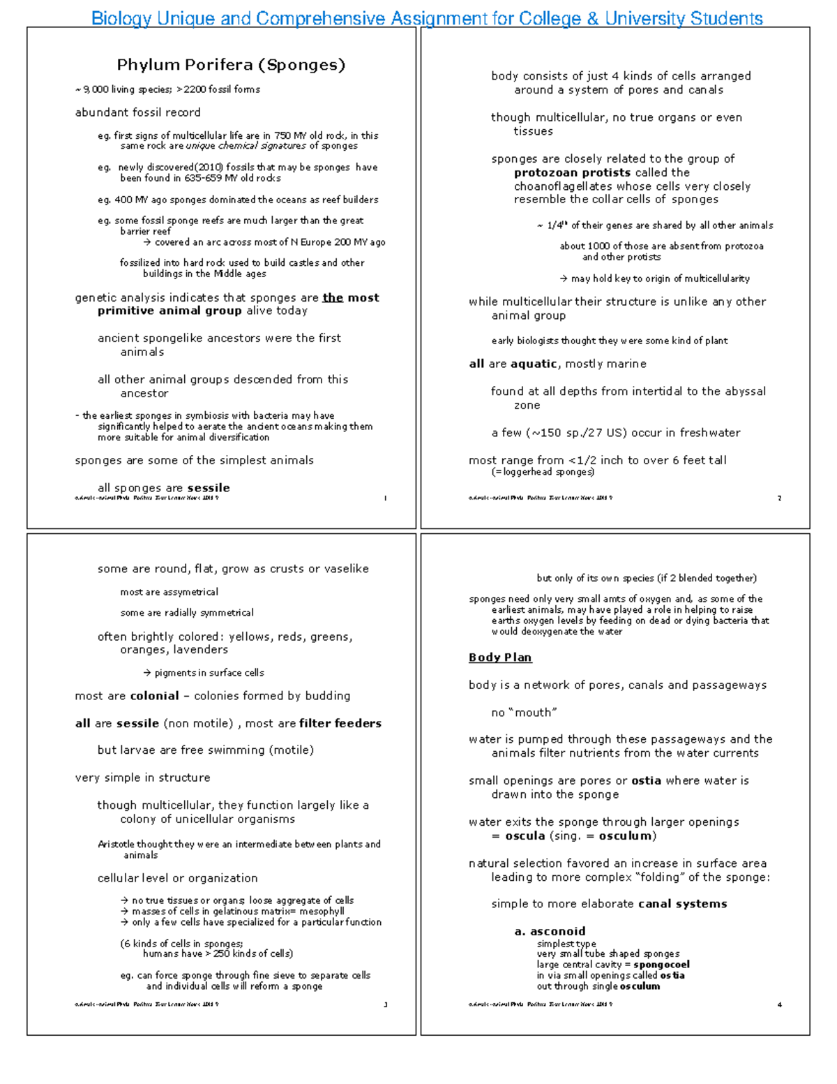 Phylum Porifera (Sponges) for College and University Students Important ...