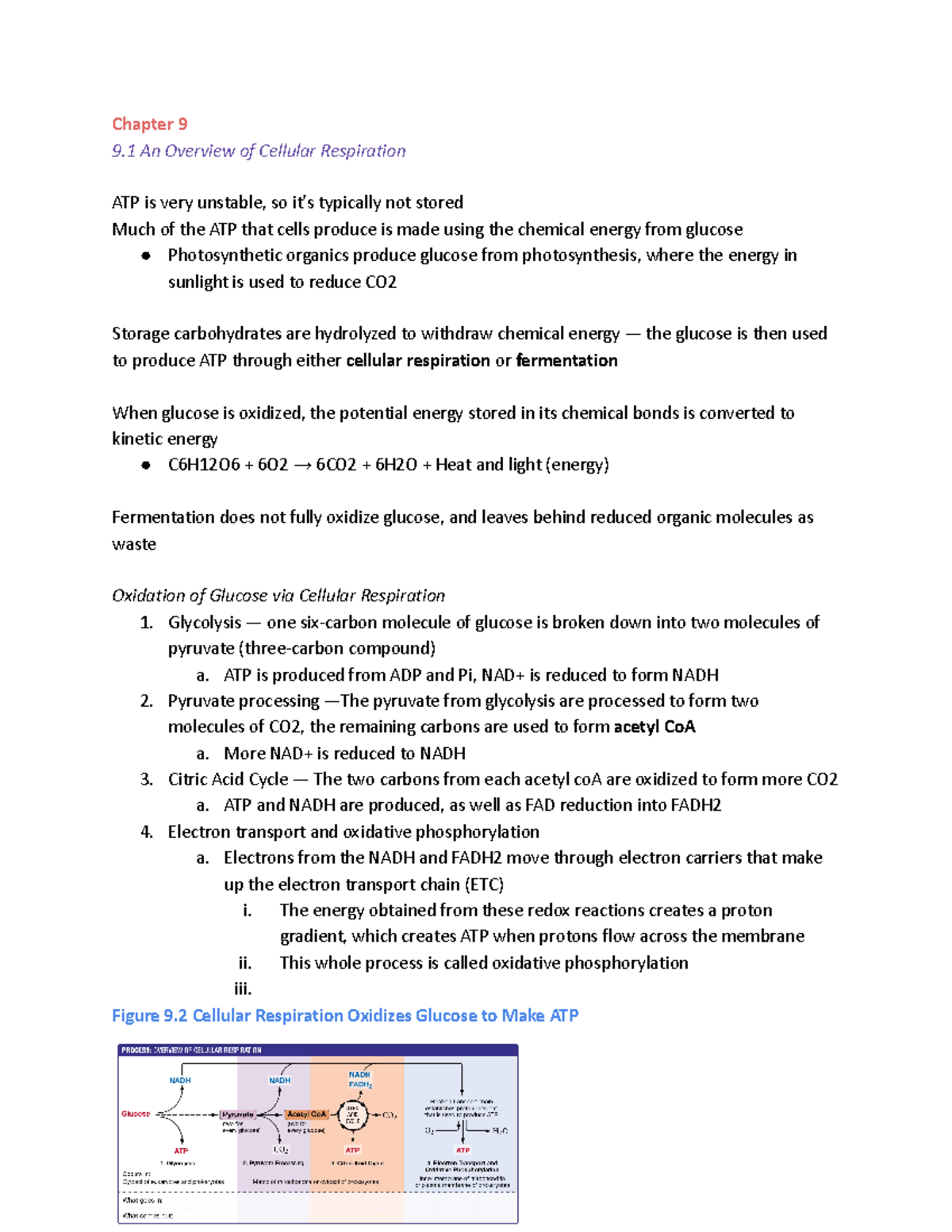 Chapter 9 Reading AS - Chapter 9 9 An Overview of Cellular Respiration ...