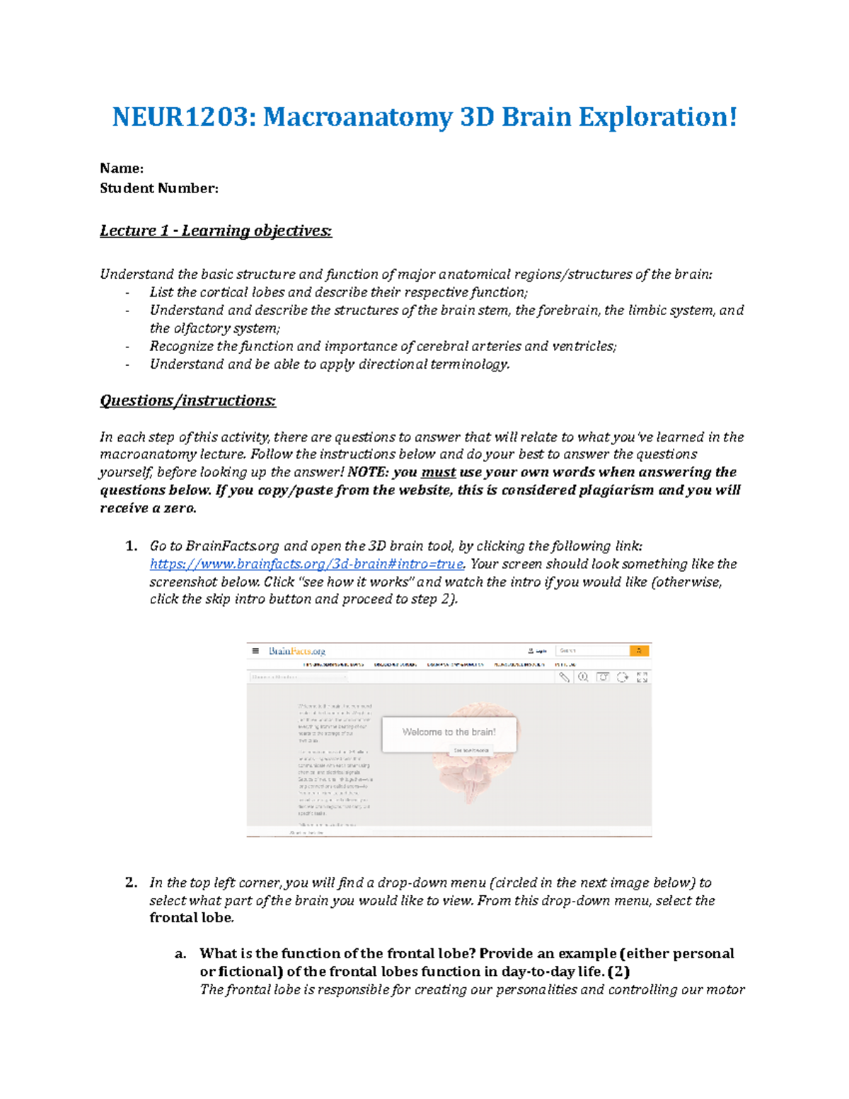 Assignment 1 - Neuroanatomy Learning Tool Worksheet - NEUR1203 ...