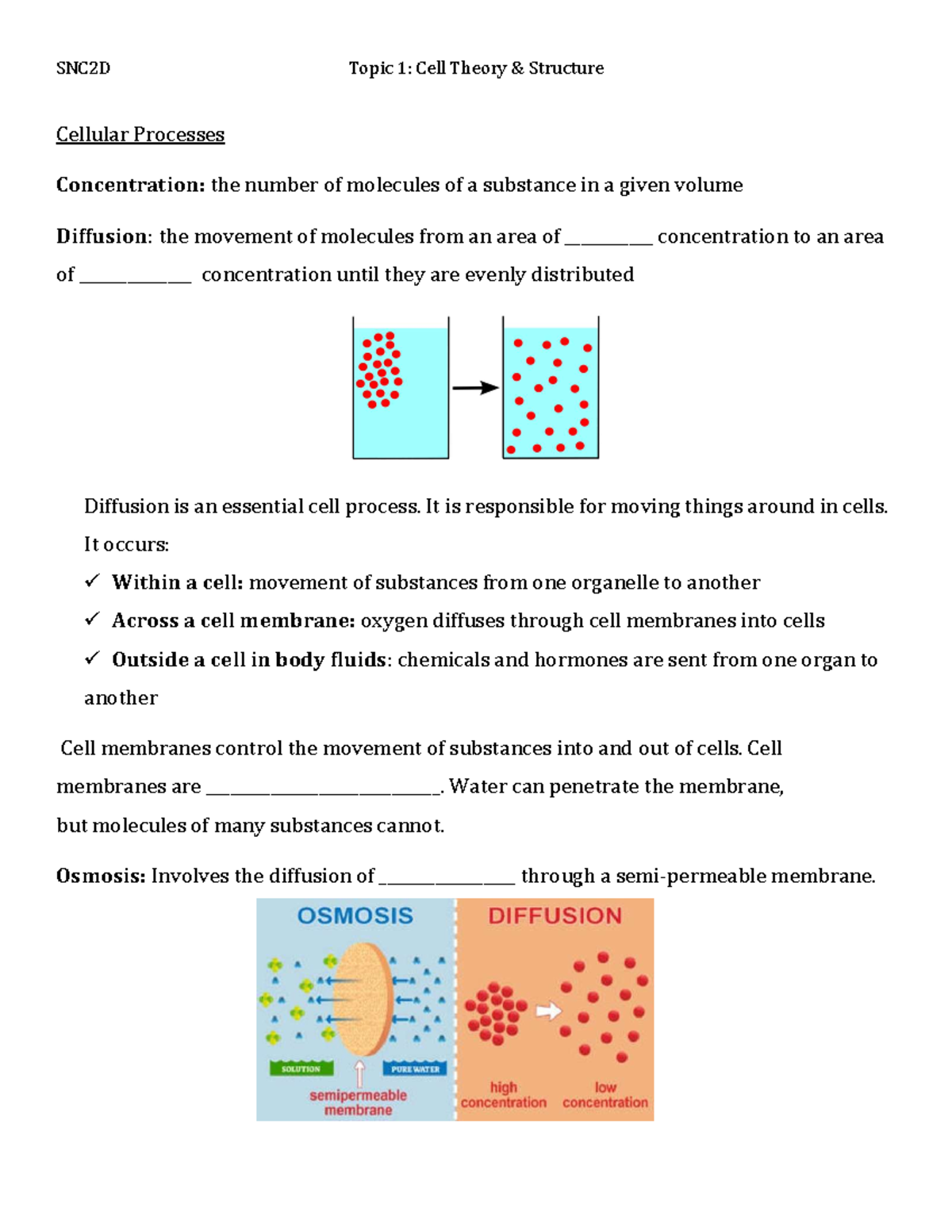 Cellular Processes Note - SNC2D Topic 1: Cell Theory & Structure ...