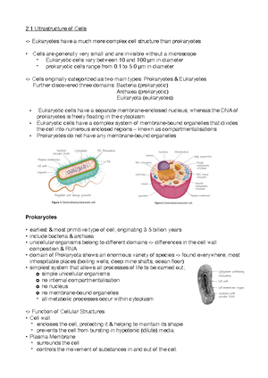 MIT chapter 8 - MIT Physics Textbook - Introduction to Magnetic Fields ...
