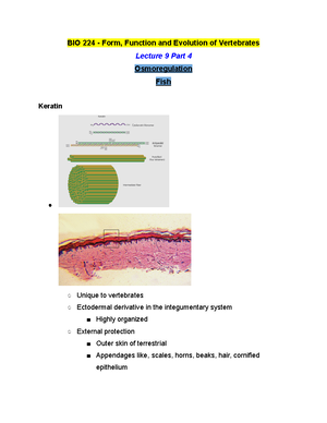 Basic Structures and Evolutionary Relationships - Basic Structures and Evolutionary ...
