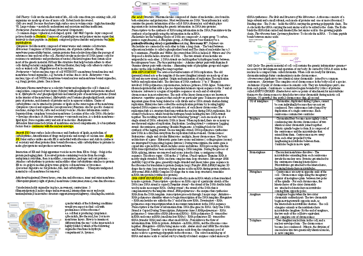 Cbg cheat sheet for exam - Warning: TT: undefined function: 32 Cell Theory: Cells are the ...