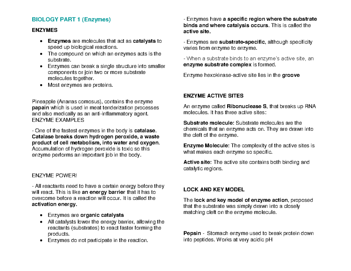 Biology PART 1 (Enzymes) - BIOLOGY PART 1 (Enzymes) ENZYMES Enzymes are ...