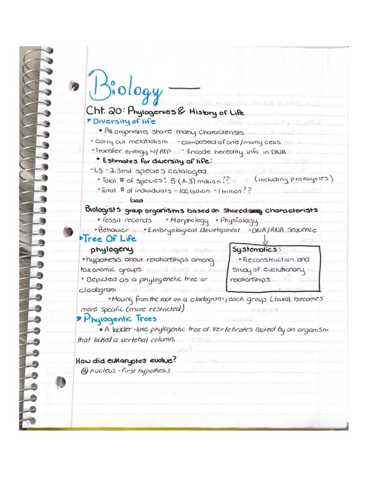 Biology - just notes on the course. Chapter 20, and Chapter 27 - BIO ...