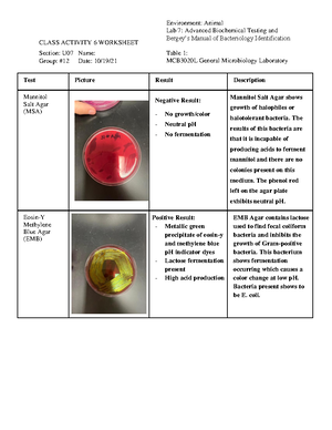 Spring 2023 General Micro Lab 10-11 Kirby Bauer Antibiotic Assay - Lab ...