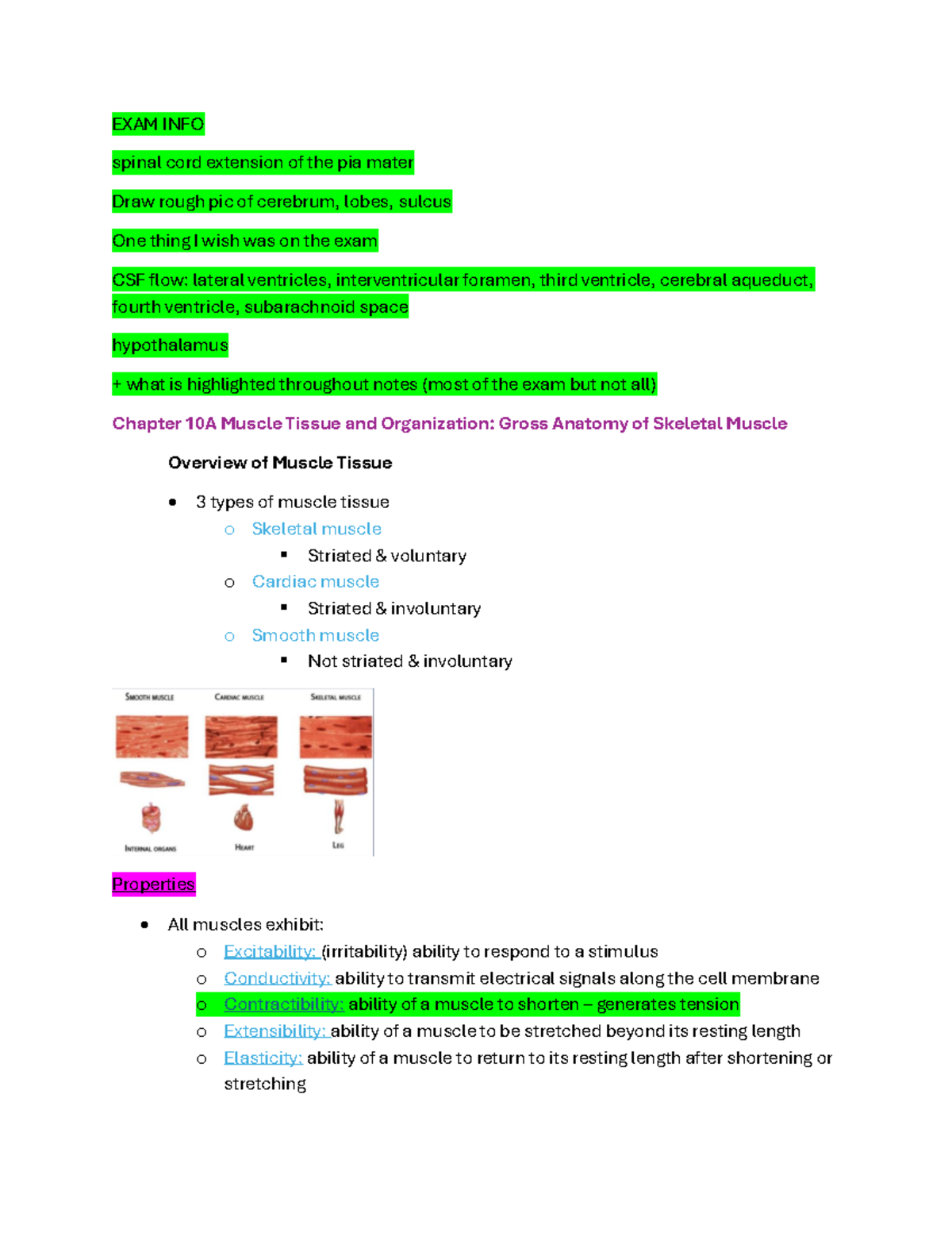 Human Anatomy Exam 3 - all chapter notes plus most of what is on the ...