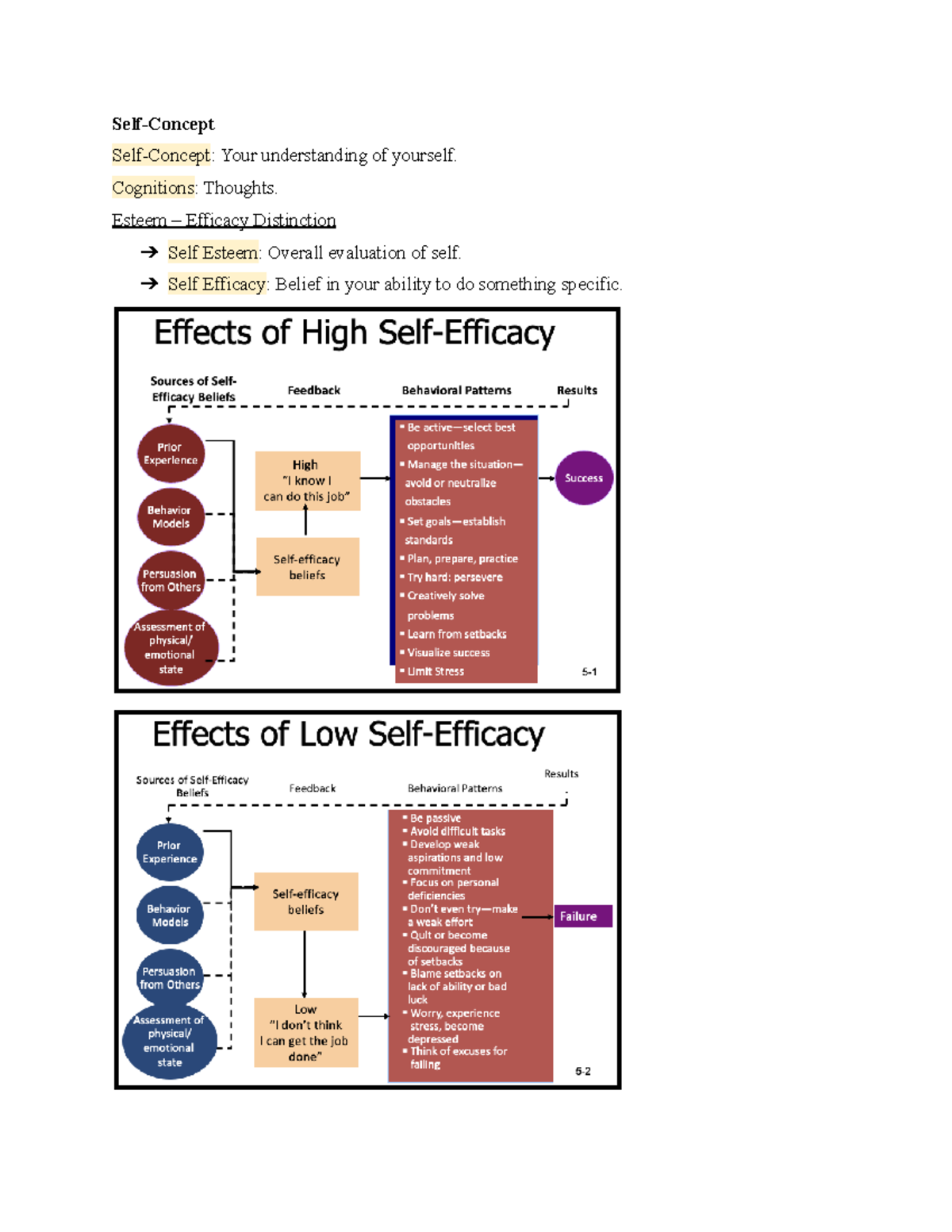 Chapter 5 Notes - Individual Differences - Self-Concept Self-Concept ...