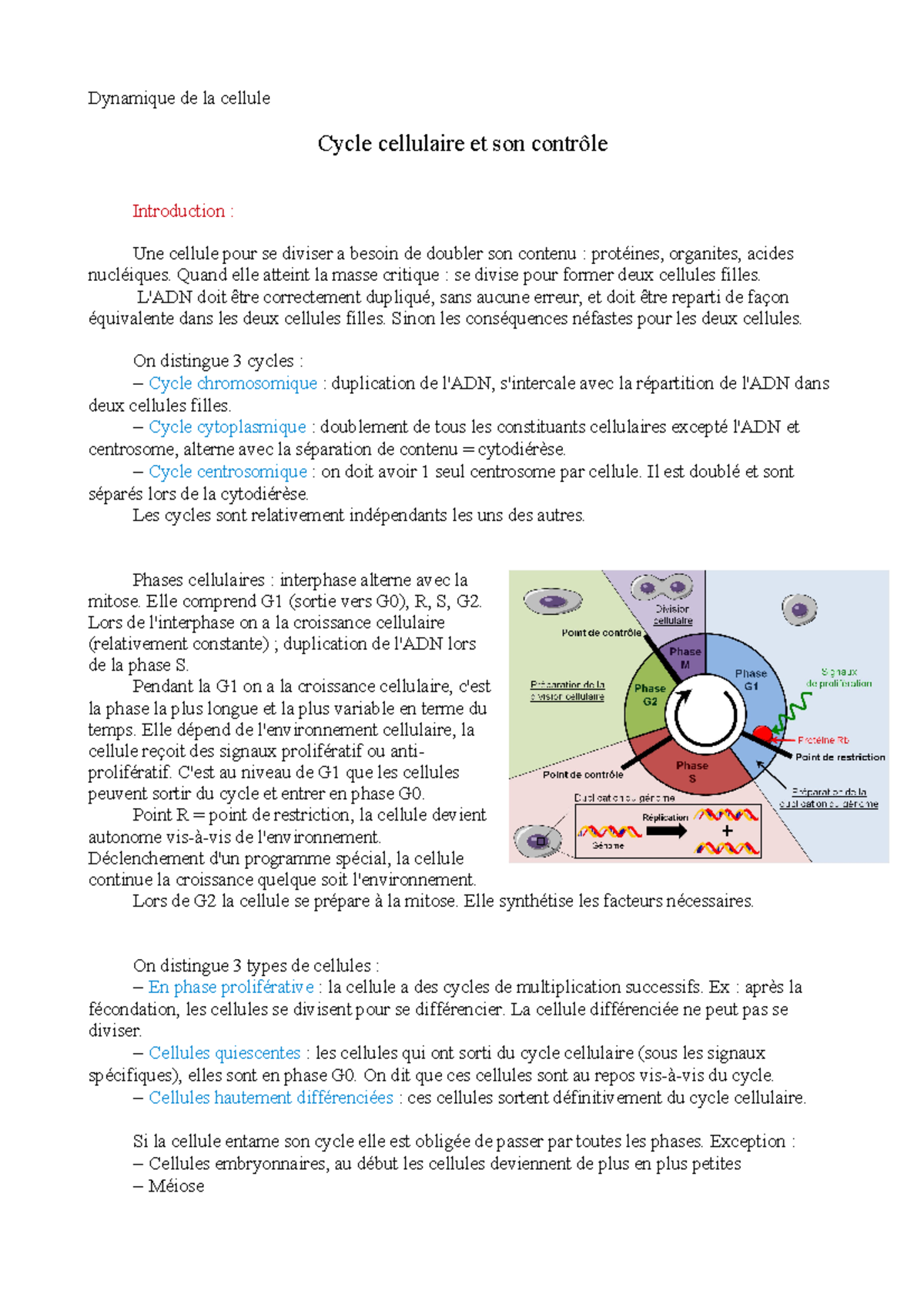 Cycle cellulaire - Dynamique de la cellule Cycle cellulaire et son ...