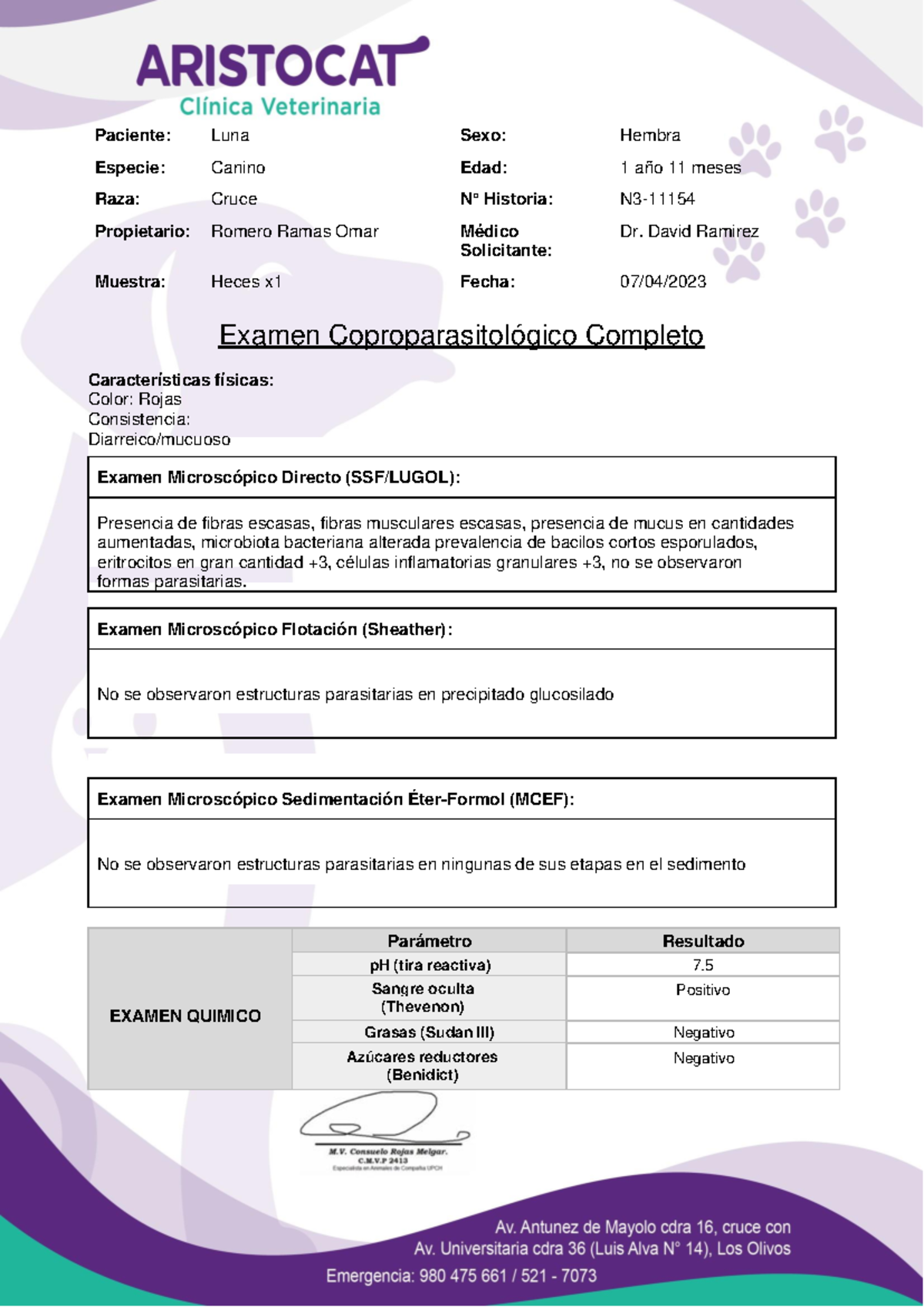 Coprologico completo - Paciente: Luna Sexo: Hembra Especie: Canino Edad ...