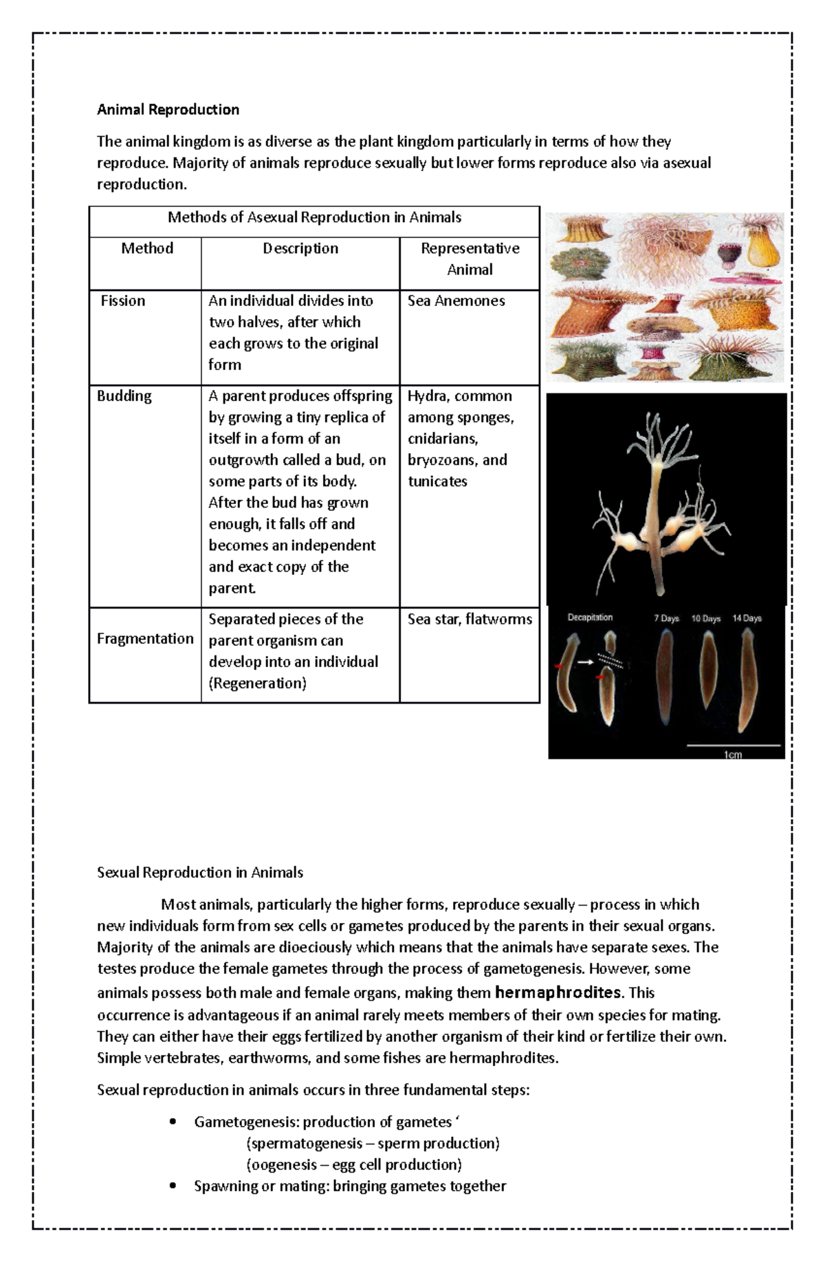 Earth-AND-LIFE - Science is Fun - Animal Reproduction The animal ...