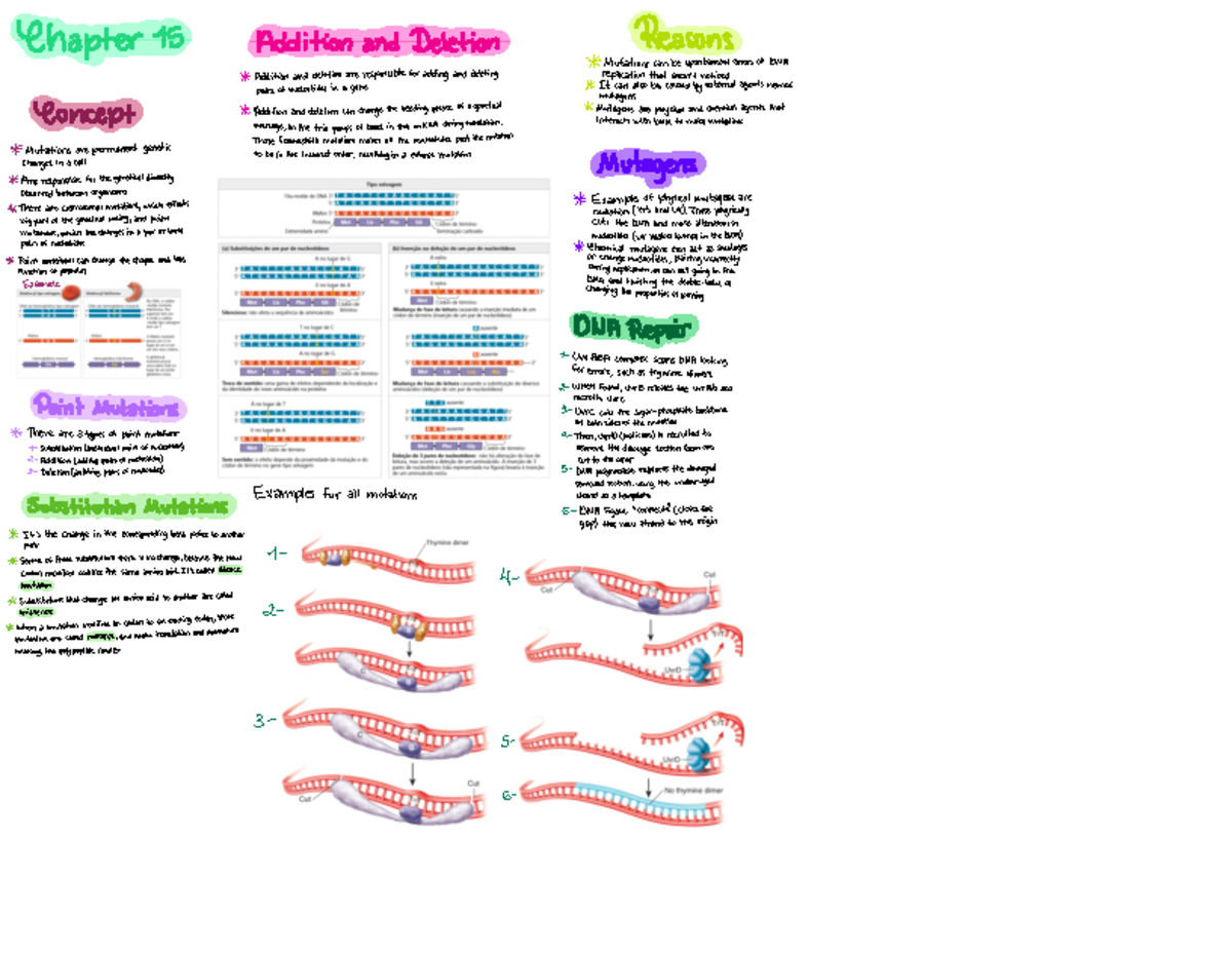 Notes Biochem - Chapter 15 summary Dr.Brothy - I 5 o s ¥ s ± ¥ ¥ E or D ...