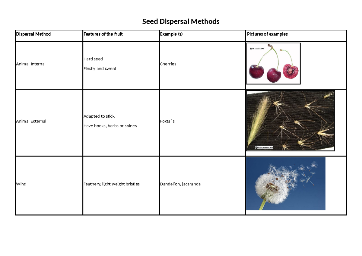 Seed Dispersal Methods - Seed Dispersal Methods Dispersal Method ...