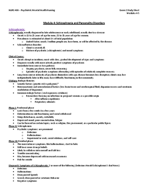 NURS 406 Psychiatric Nursing Care Plan - DEPARTMENT OF UNDERGRADUATE ...