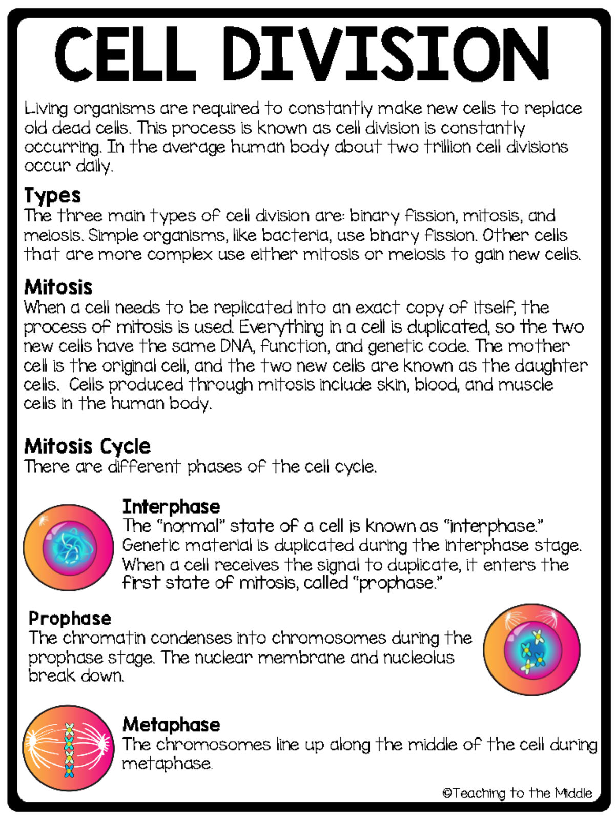 Kami Export - Assignment 4 Cell Division - CELL DIVISION Living ...