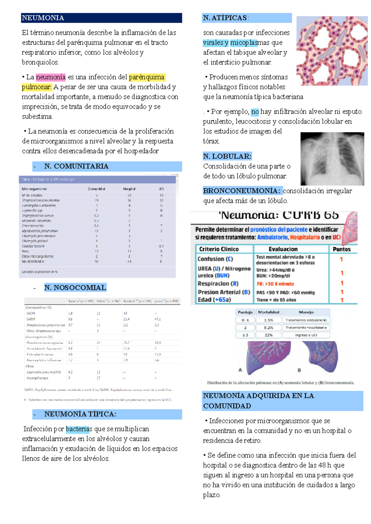 Neumonia - Resumen sobre la fisiopatología de la neumonía - NEUMONIA El ...