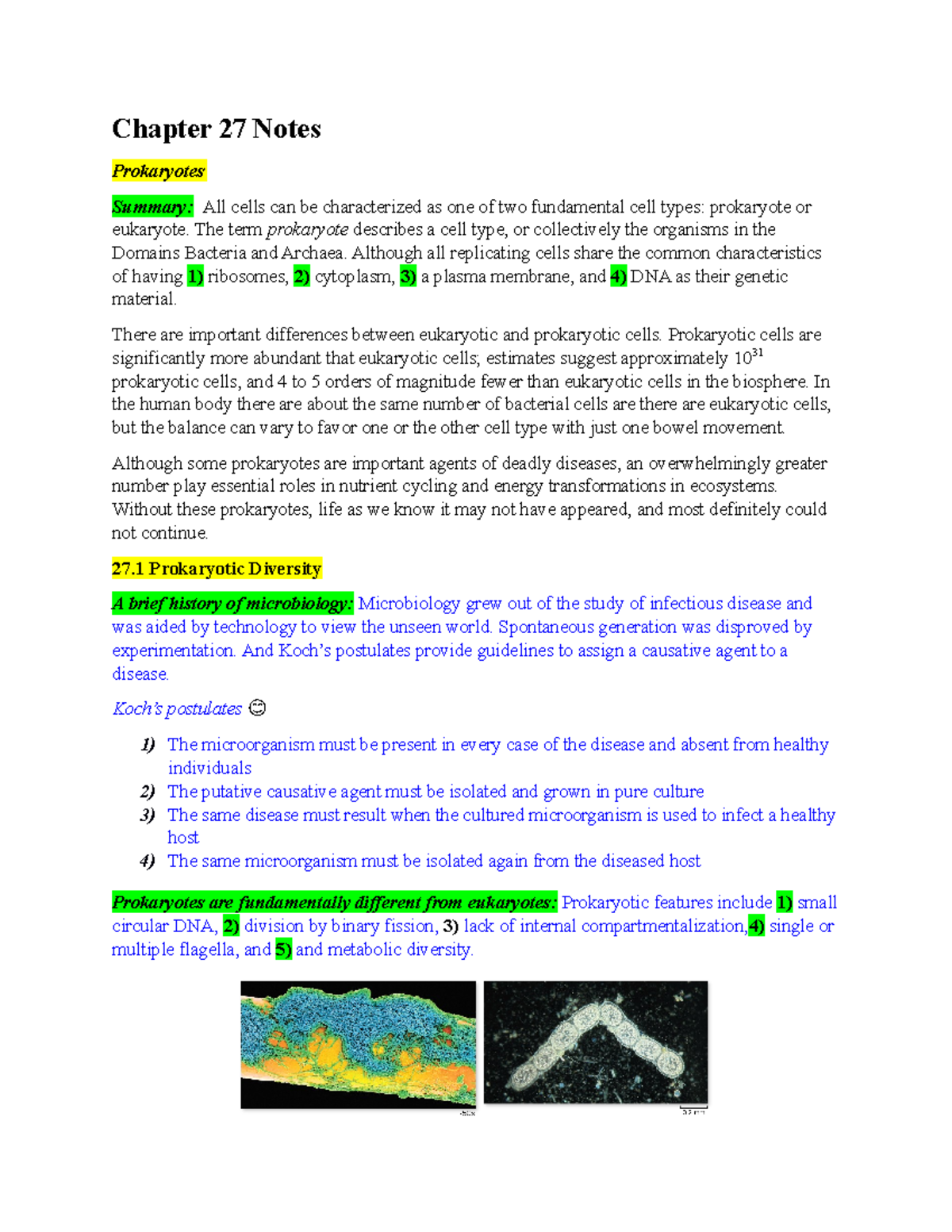 Bio Chapter 27 Notes - Chapter 27 Notes Prokaryotes Summary: All cells ...