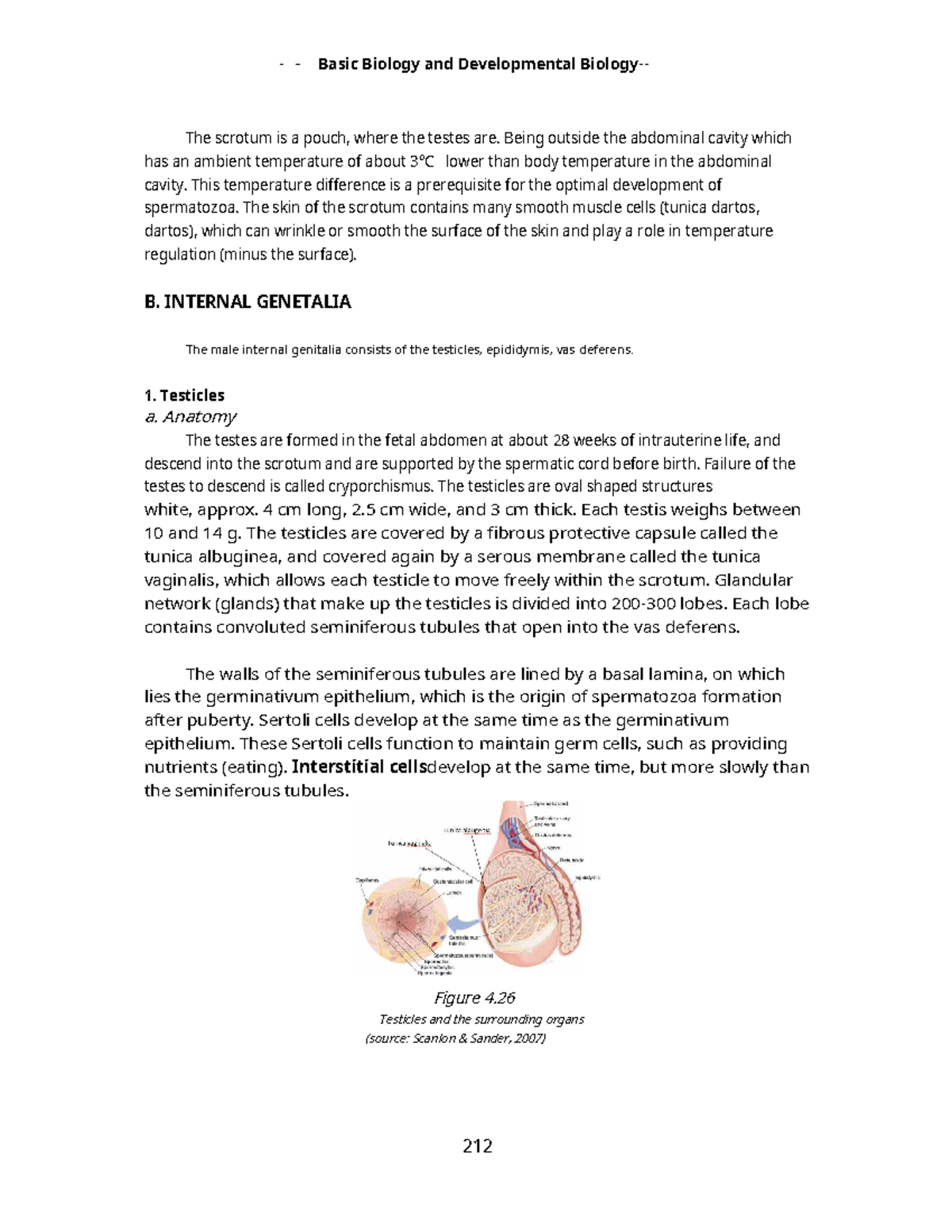 Mc Kinney Bio Notes Junior - The scrotum is a pouch, where the testes ...