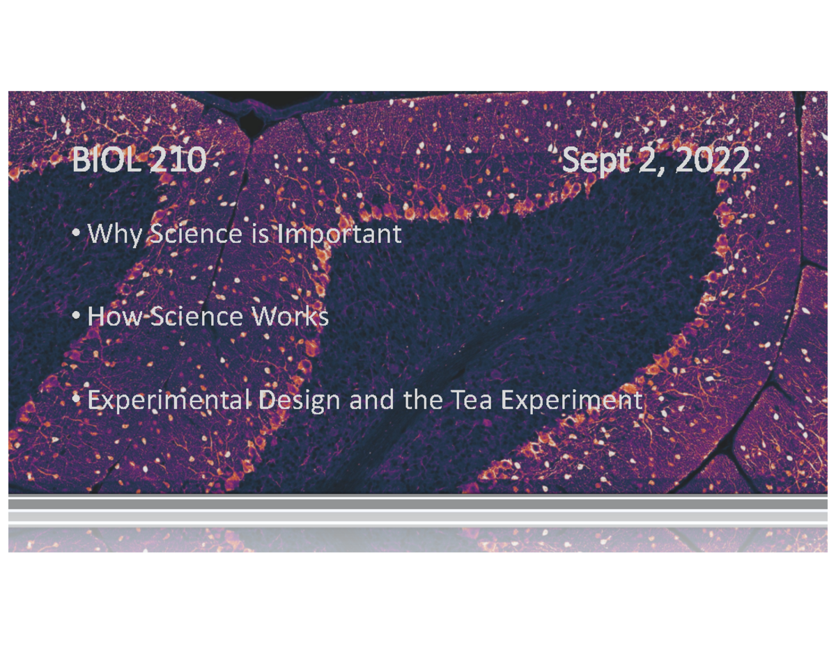 BIOL 210 L2 Science - BIOL 210 Lecture Slides - BIOL 210 Sept 2, 2022 ...