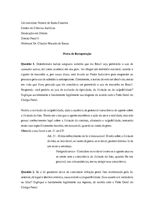 Jus Puniendi: o direito de punir do Estado - O DIREITO DE PUNIR A ...