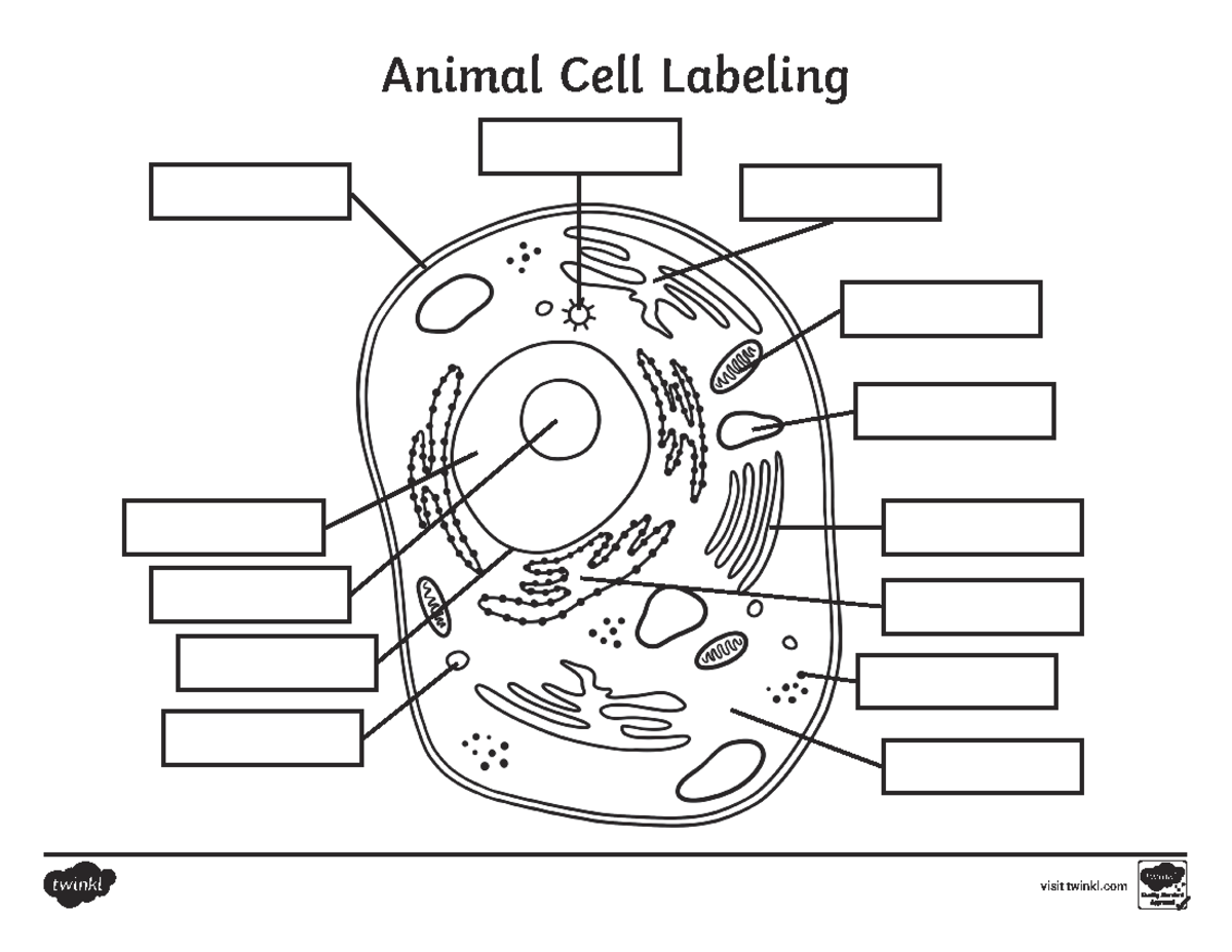 Us s 185c animal cell labeling activity black and white - TW200 ...