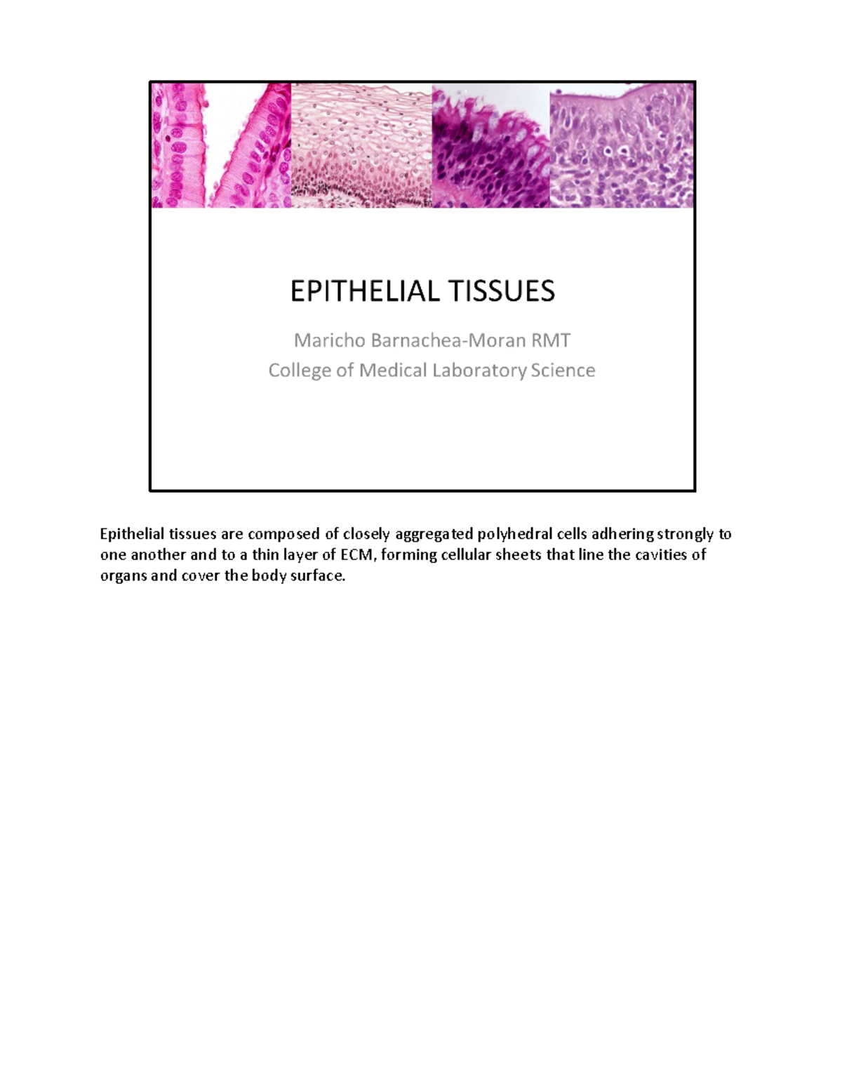 Epithelial Week 2 LEc - Prof. Maricho Barnachea - Epithelial tissues ...
