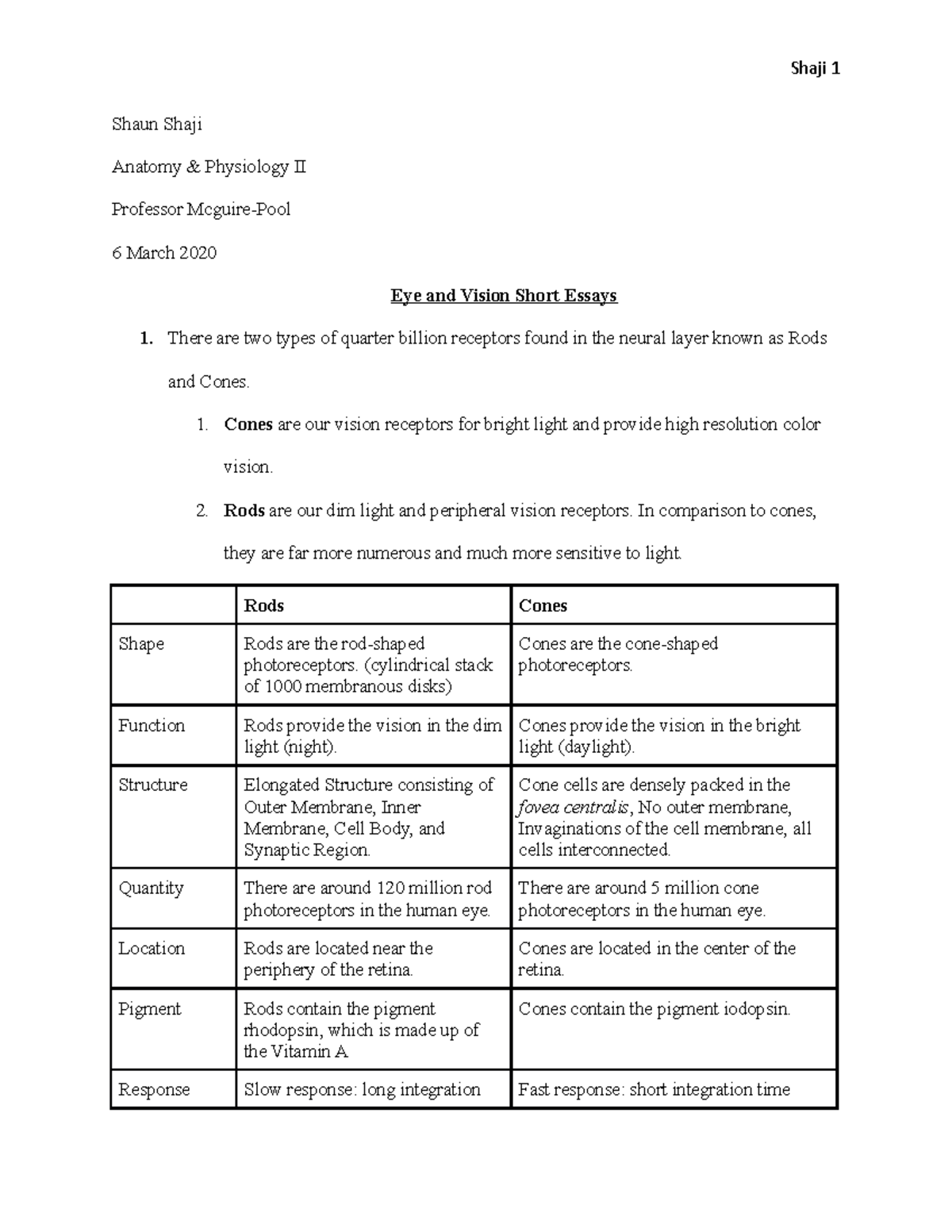 Eye and Vision - Notes on the retina and the eye. - Shaun Shaji Anatomy ...