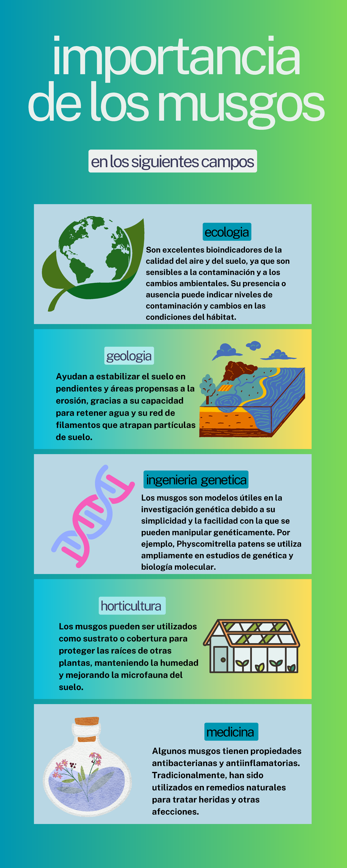 Blue Illustrated Climate Change Infographic - importancia de los musgos ...