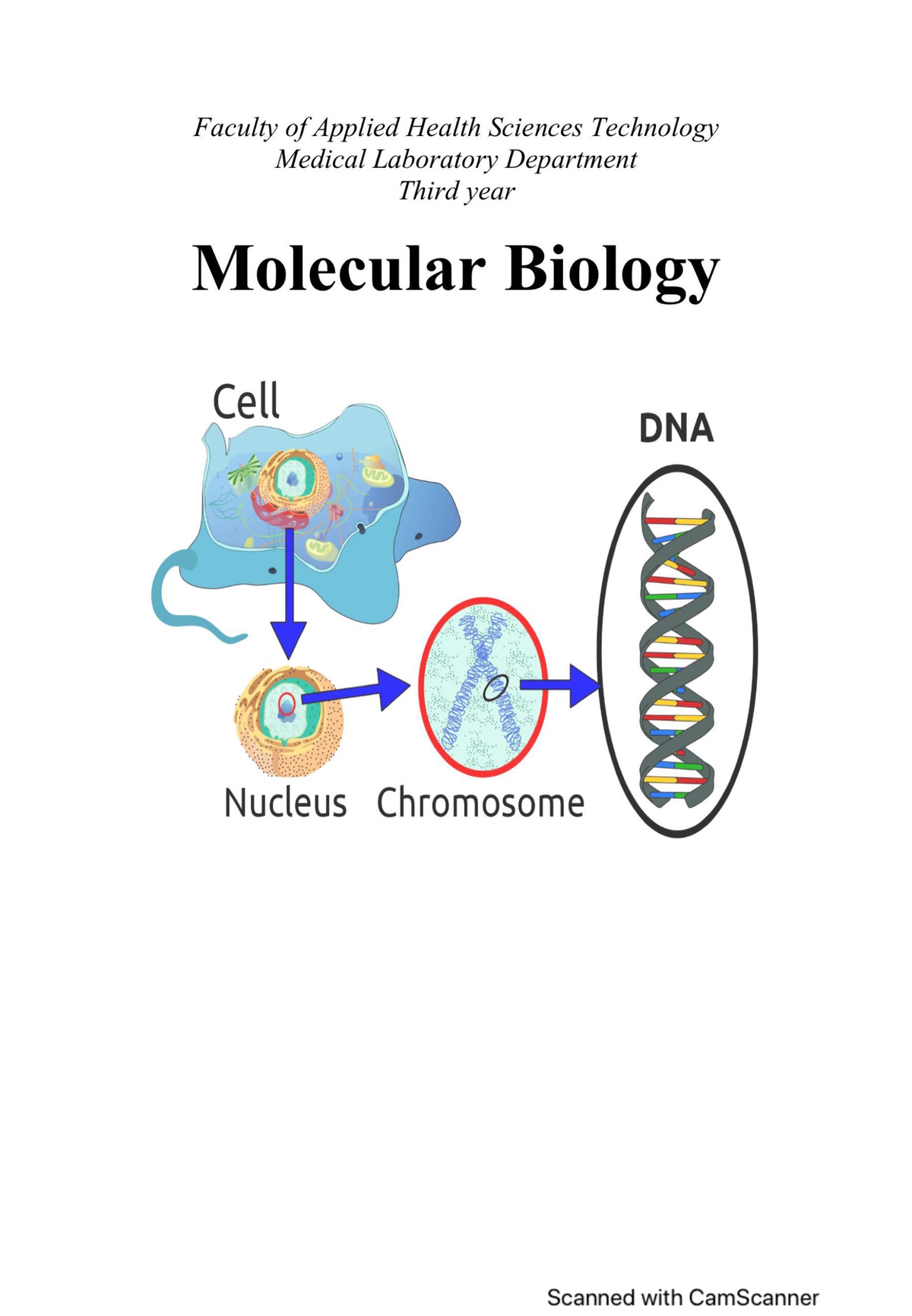 Types Of Rna And Dna Replication Molecular Biology Studocu