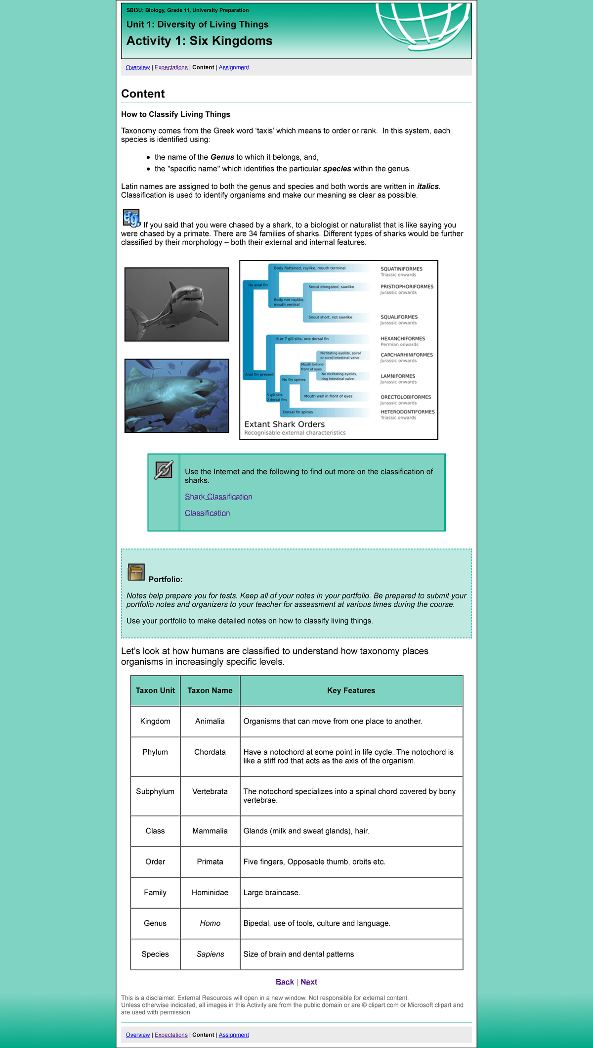 Classification of life - SBI3U: Biology, Grade 11, University ...