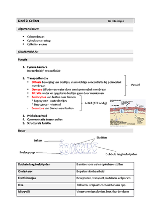 Anatomie h6 beenderstelsel - H6: Beenderstelsel Functies van het ...