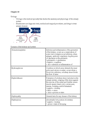 Medical terminology - Chapter 1 Origins of medical language Etymology ...