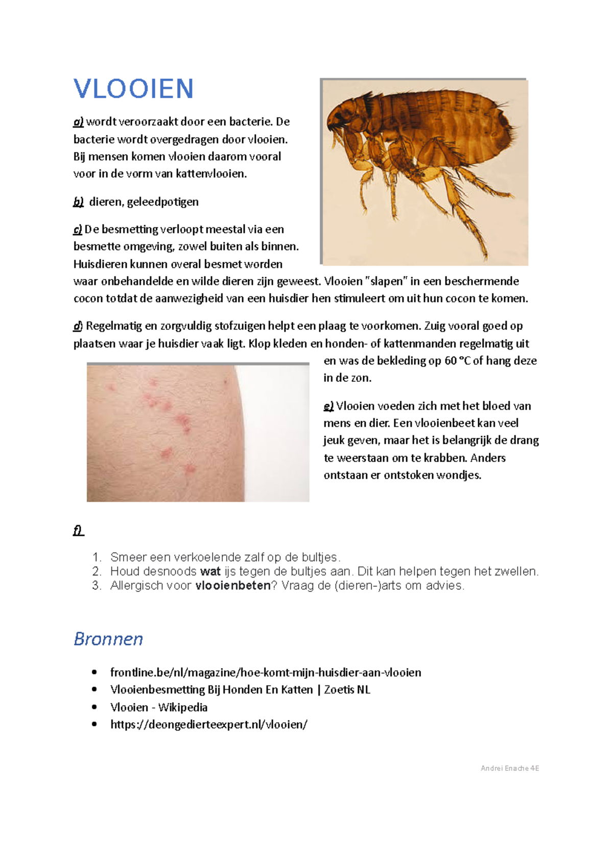 4E Enache Andrei vlooien - VLOOIEN a) wordt veroorzaakt door een ...