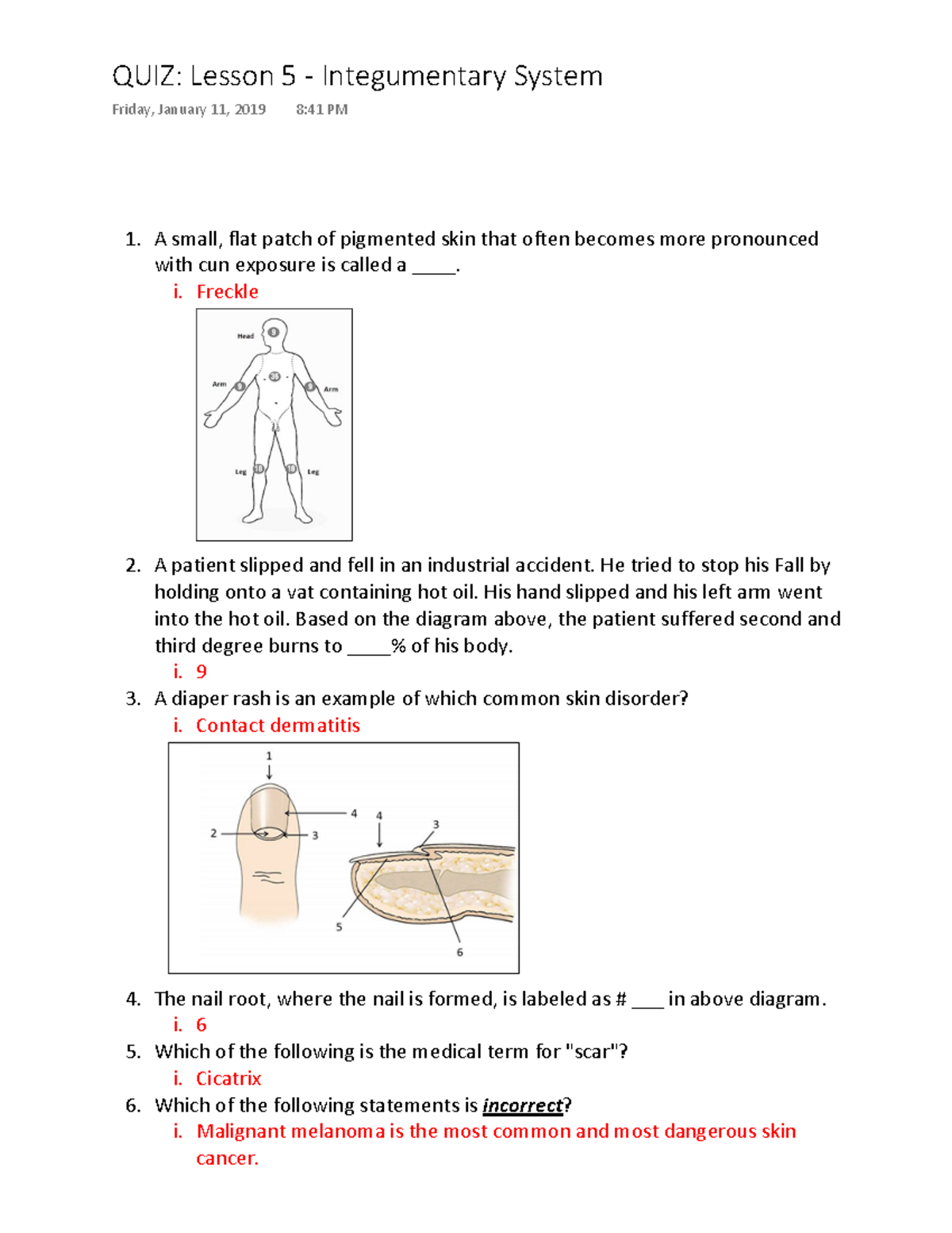 Health quiz 5-intergumentary system - - Studocu