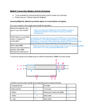Ib lab report guide - Internal Assessment (IA) Lab Report Guide Your ...
