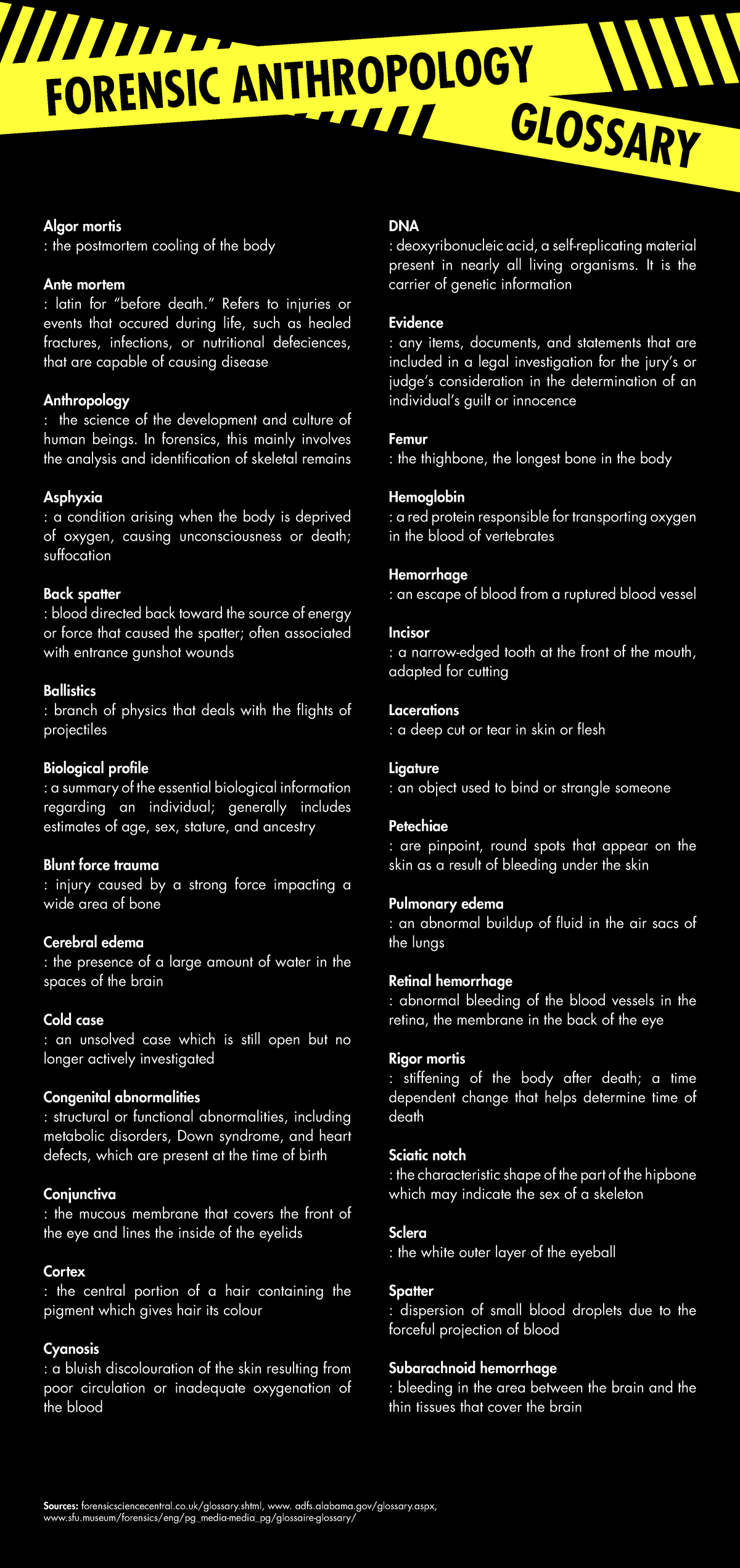 Forensic-Anthropologist-Glossary - Algor mortis : the postmortem ...