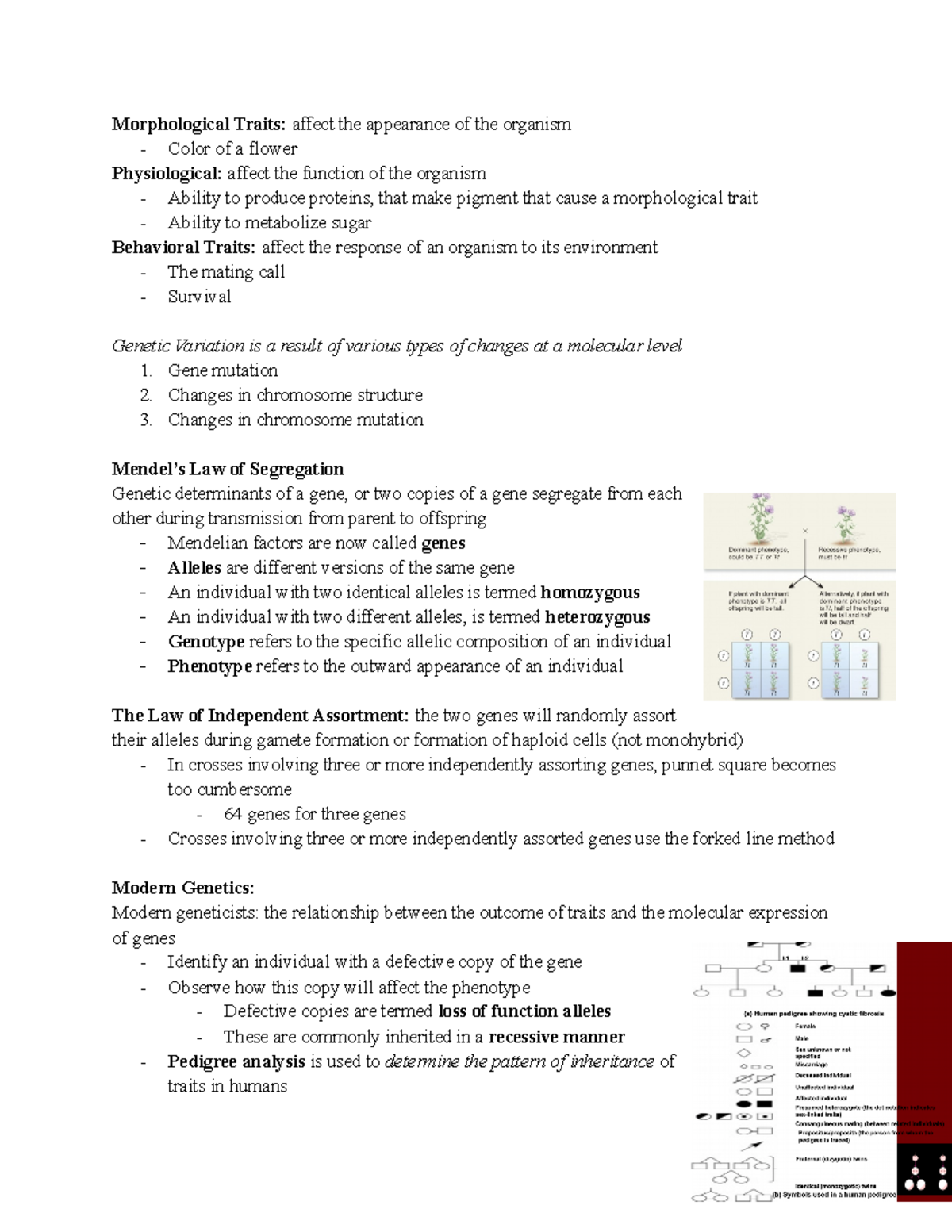 Genetics Test 1 Review - Dr. V - Morphological Traits: affect the ...