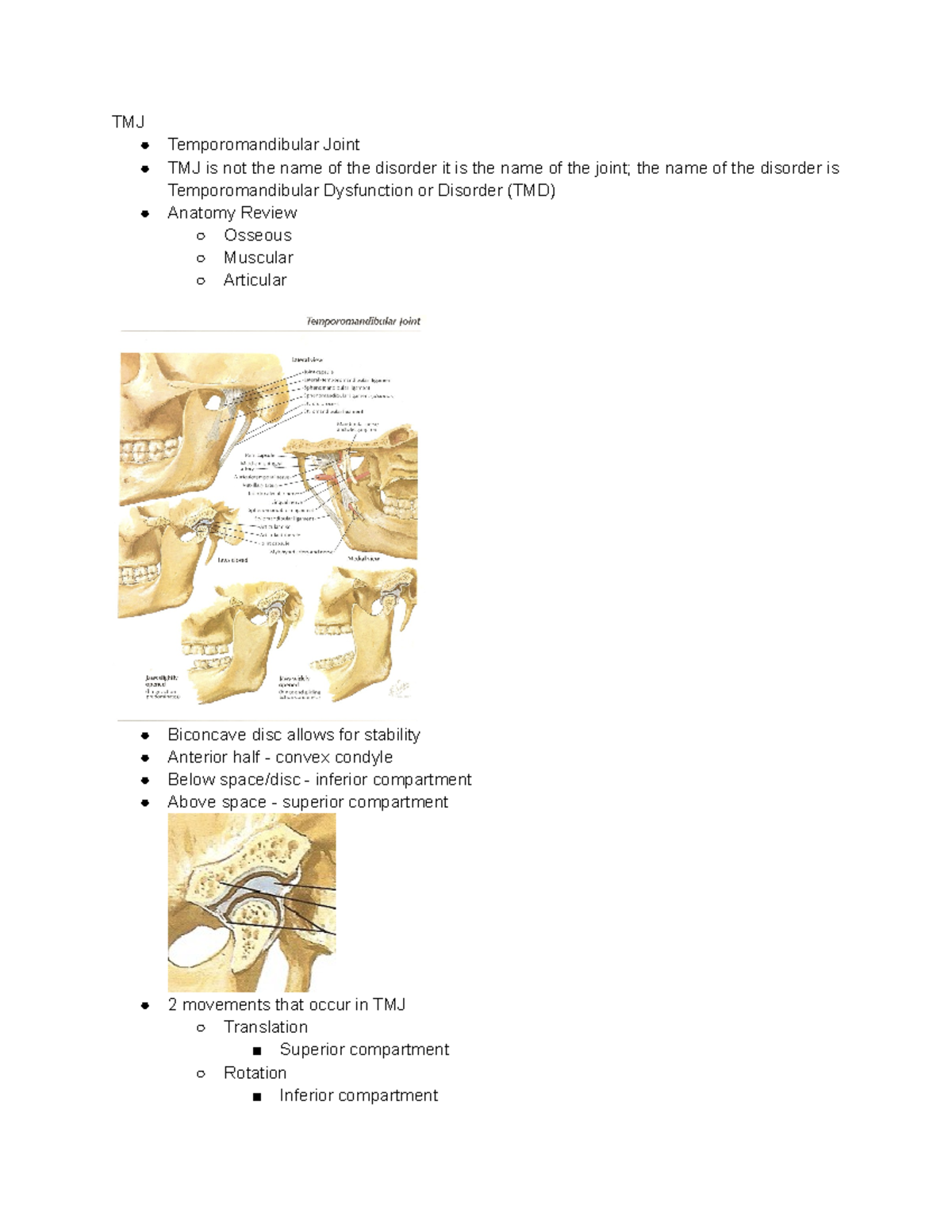 Biomechanics: TMJ - TMJ Temporomandibular Joint TMJ is not the name of ...