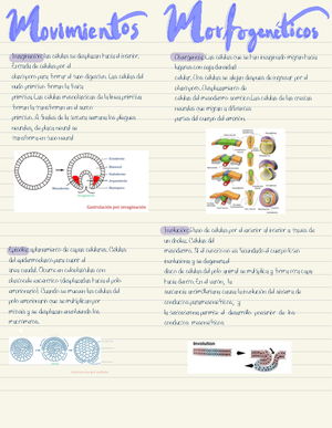 JBDS 02 DKA Guideline with QR code March 2023 - The Management of ...