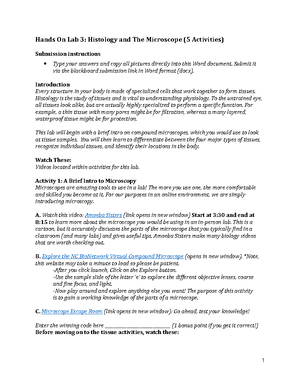 Lab7 Spine Reflex - Hands On Lab: Spinal Cord and Reflexes (6 ...