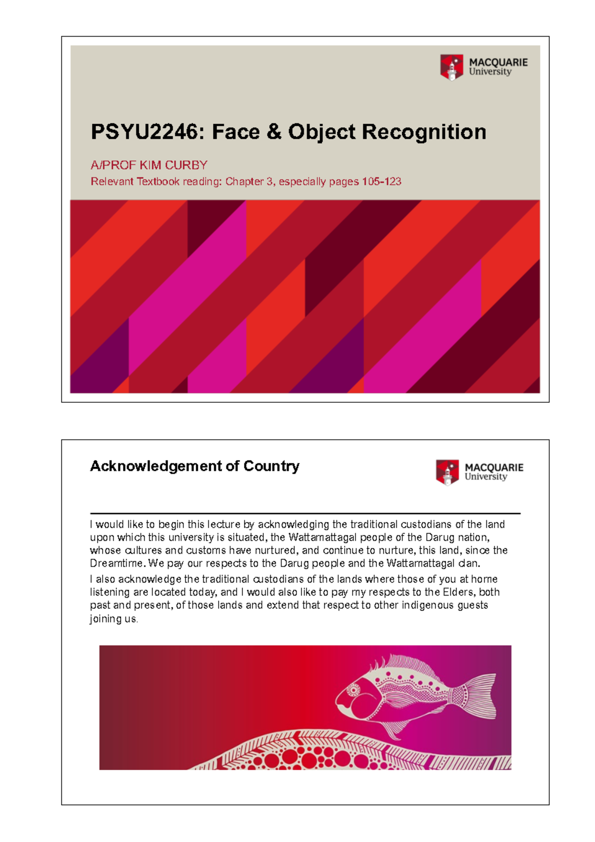 Face Object Perception 2023 - ####### PSYU2246: Face & Object ...