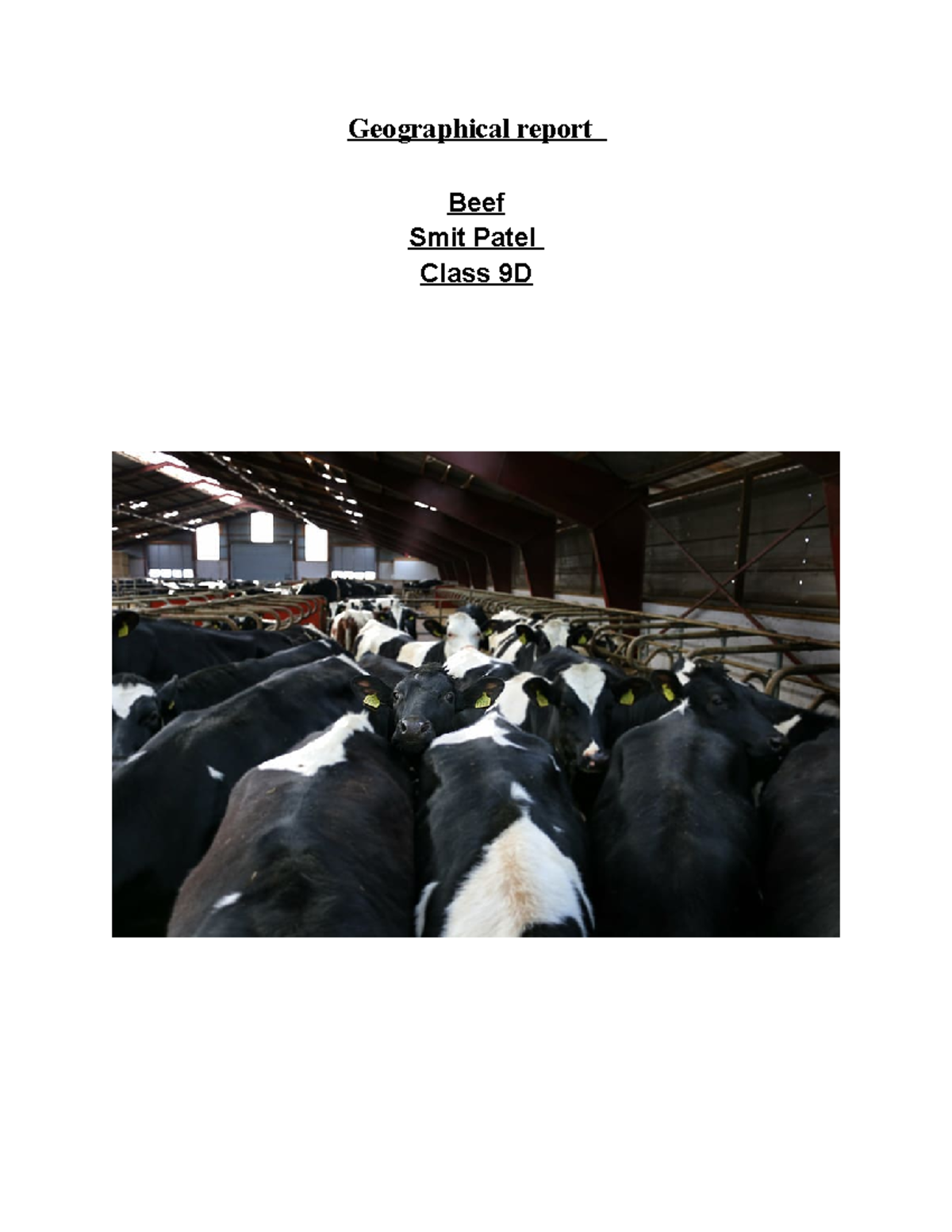 Smit Patel - Year 9 Advanced Geographical Report Scaffold ...