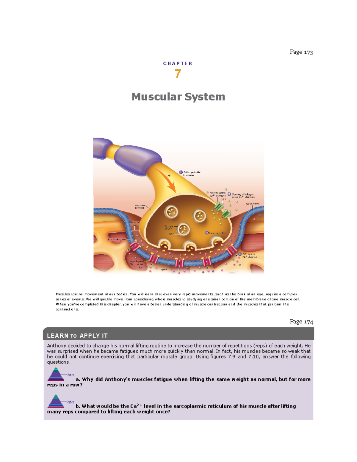 Seeley'S Chapter 7 Muscular System - Page 173 C H A P T E R 7 Muscular System Muscles control ...