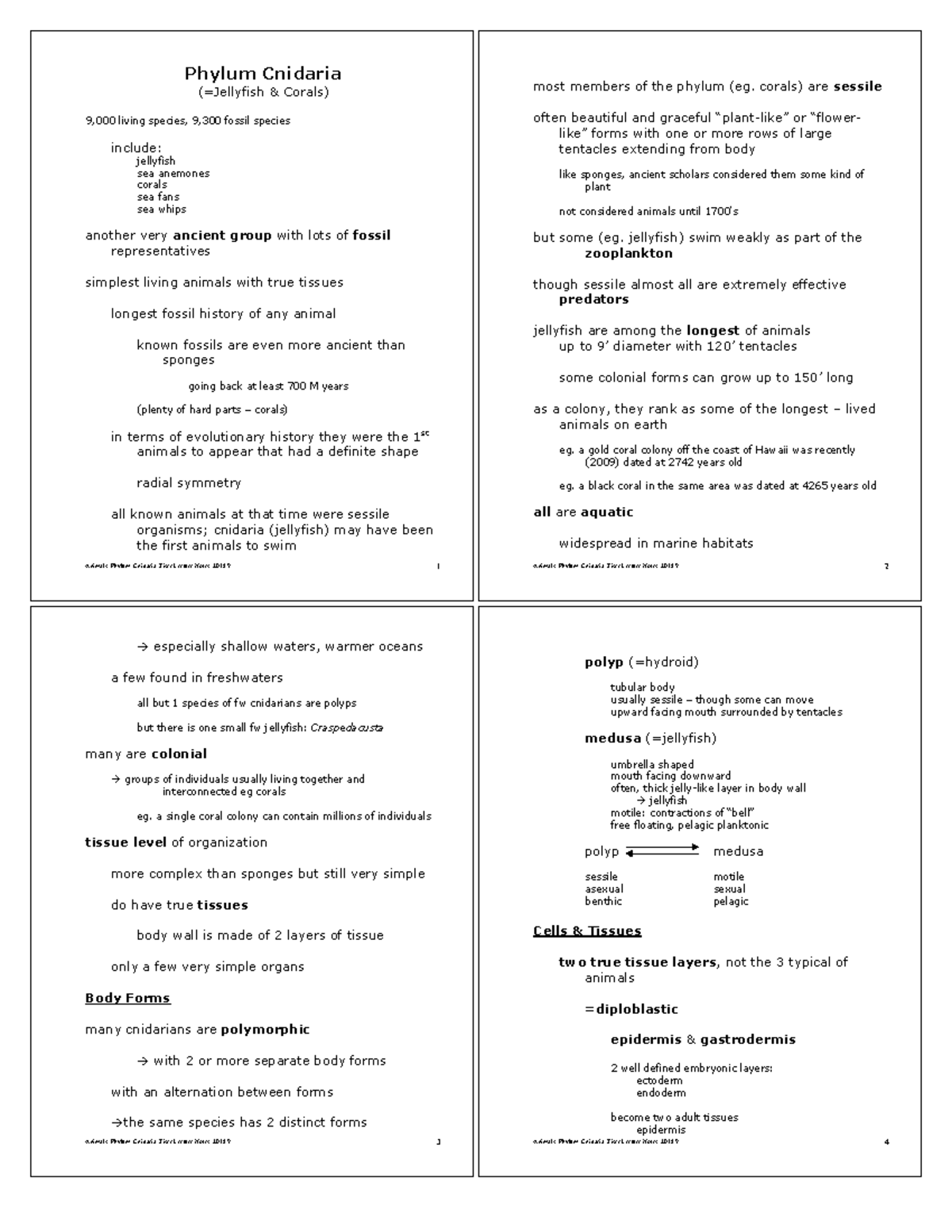 Phylum characteristic features about their body - Animals: Phylum ...
