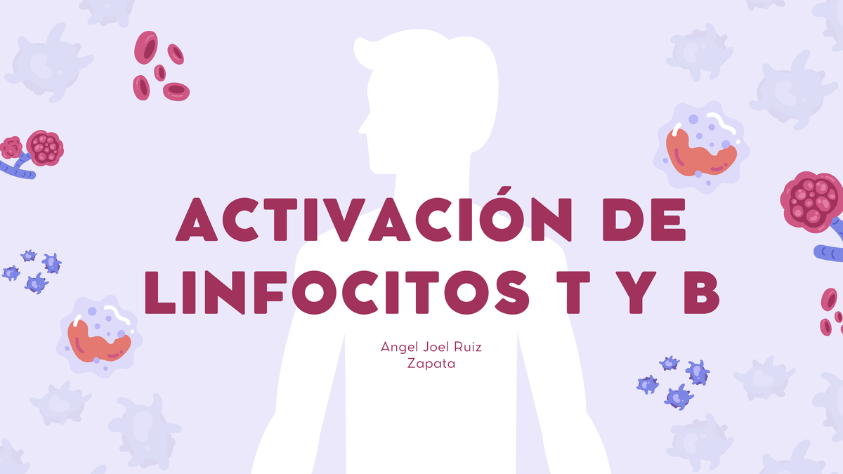 Activación de linfocitos T y B - Angel Ruiz - ACTIVACIÓN DE LINFOCITOS T Y B Angel Joel Ruiz ...