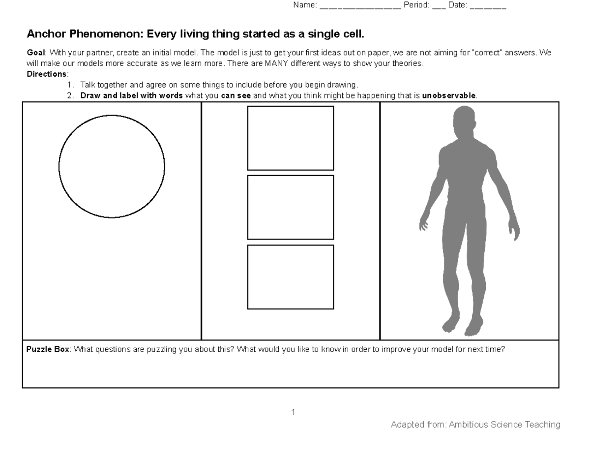 Anchor Phenomenon BIS5 (2) aksbjabdxa ajb dajkd ja - Anchor Phenomenon ...
