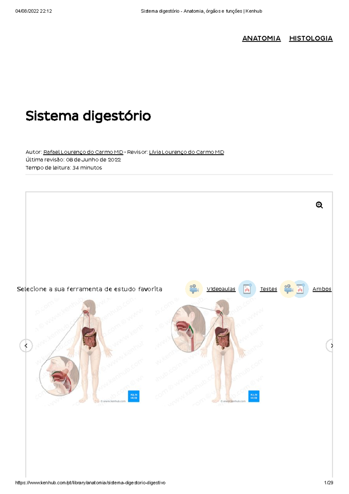 Sistema digestório - Anatomia, órgãos e funções Kenhub - 22:12 Sistema ...