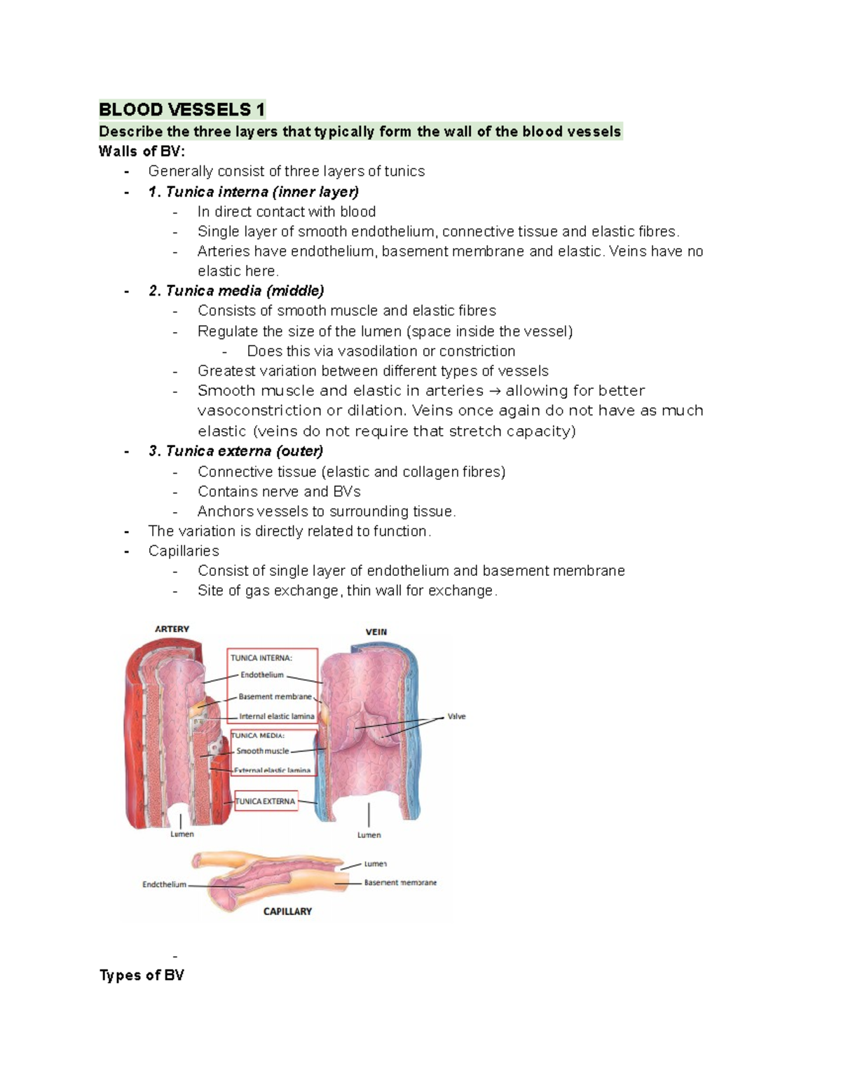 Week 11 - blood vessels - lecture notes - BLOOD VESSELS 1 Describe the ...