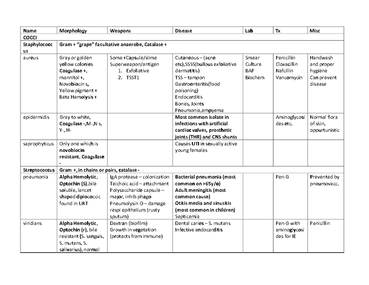 Document - Bacteria identification - Name Name Morphology Morphology ...